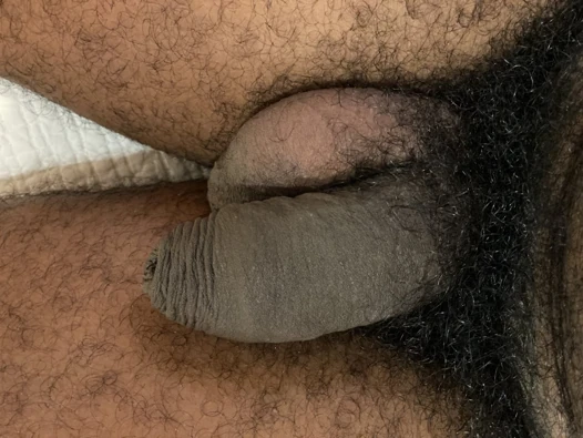 My Big Hairy Cock From Flaccid To Very Hard My Hairy Balls 12 Pics