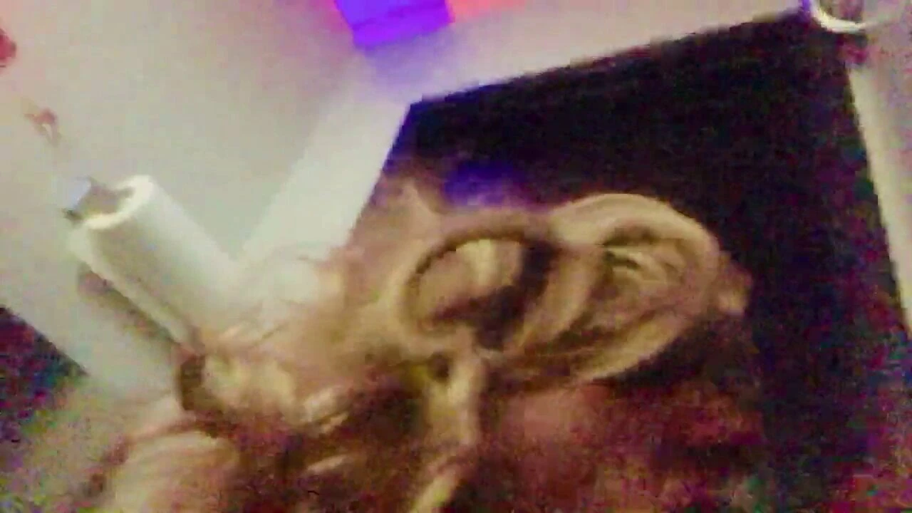Crossdresser Sissy At Gloryhole Shemale Amateur Porn Xhamster 0011