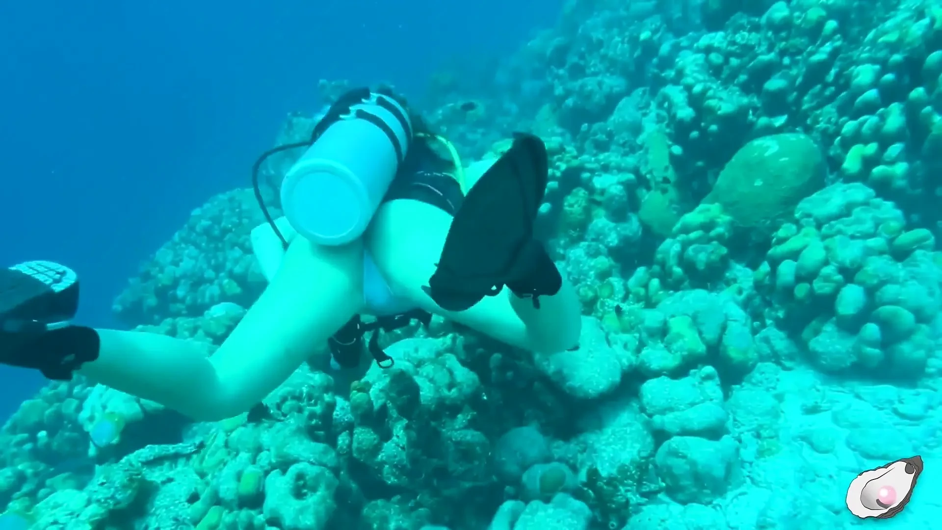 Free Scuba Porn Videos Xhamster
