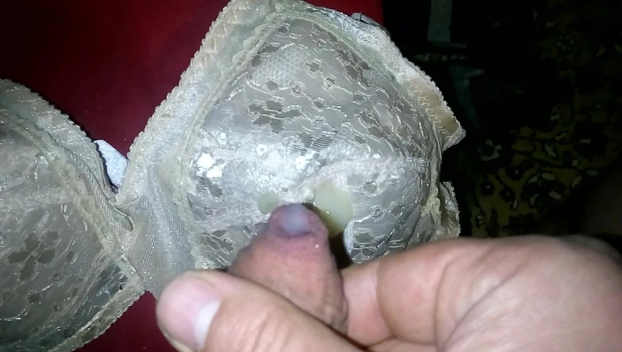 Cum Bra Gay Amateur Amateur Porn Xhamster 3124