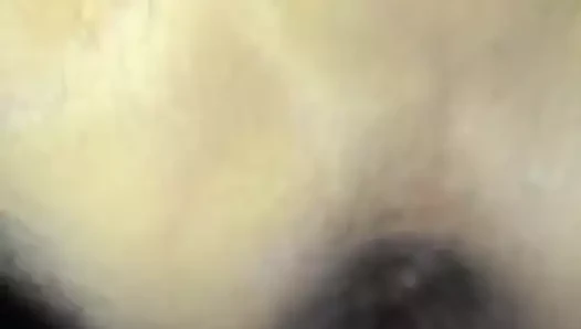 Vídeos Porno Gay De Cholo Gratis En Xhamster Para 2024 ¡nuevos Vídeos