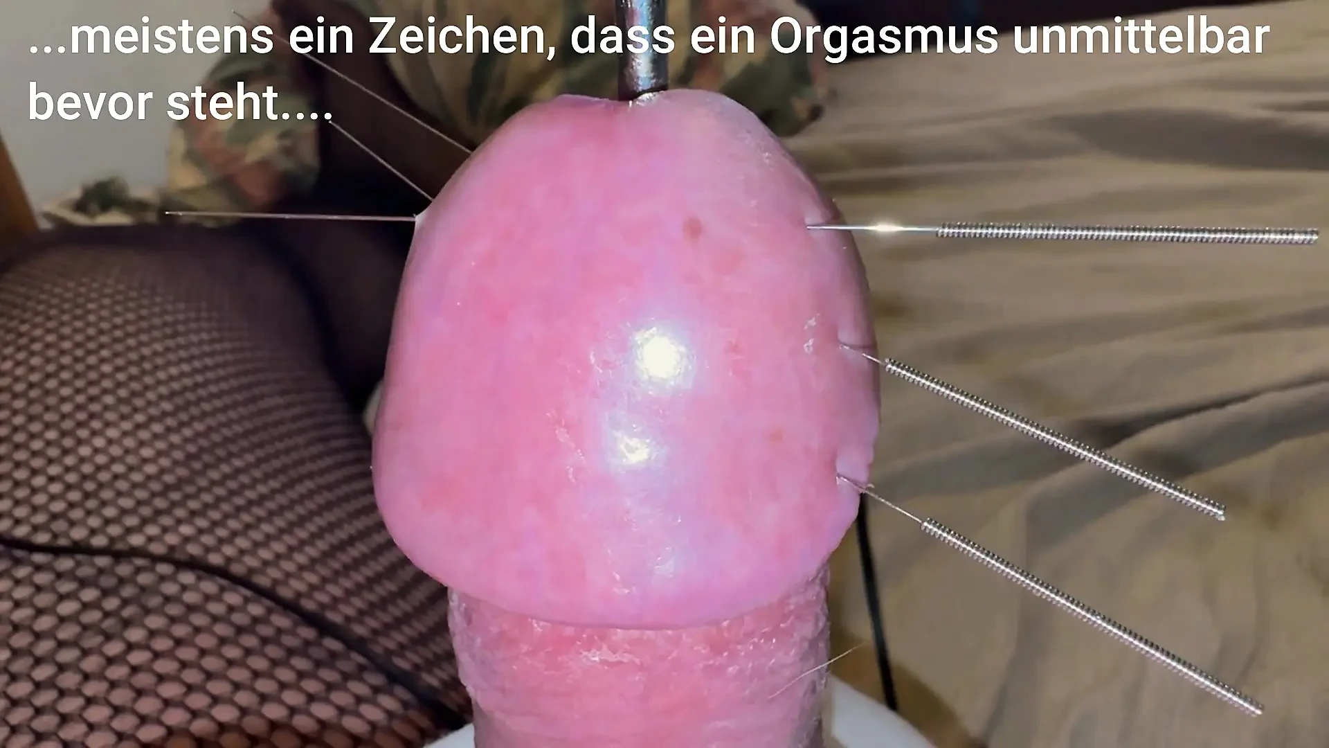 Deutsch Schwul Porno Videos Neuesten In Voller Länge Xhamster 5671
